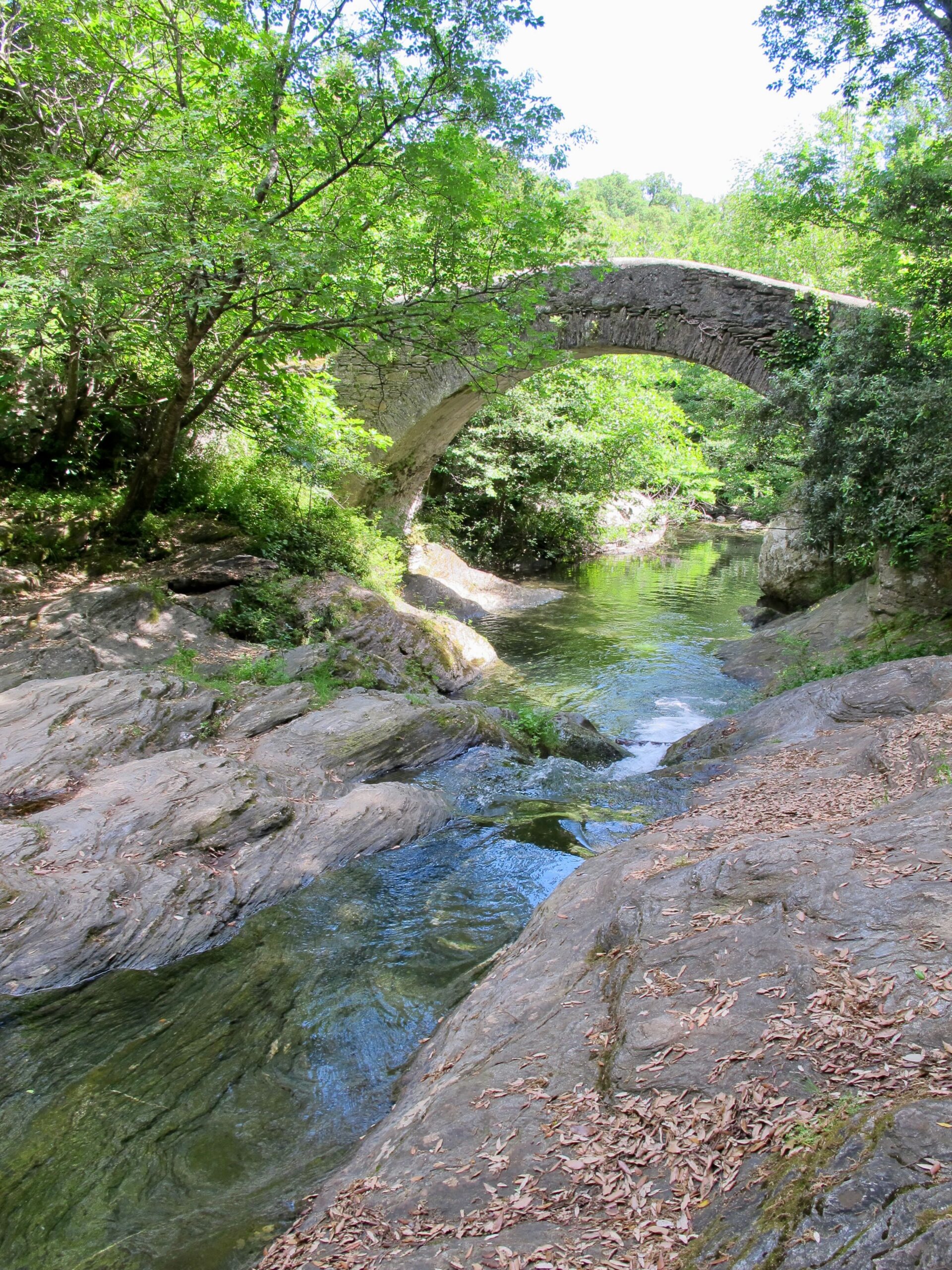 WANDERN AUF KORSIKA: PIETRACORBARA AUF DEM CAP CORSE Gabriele Kalmbach